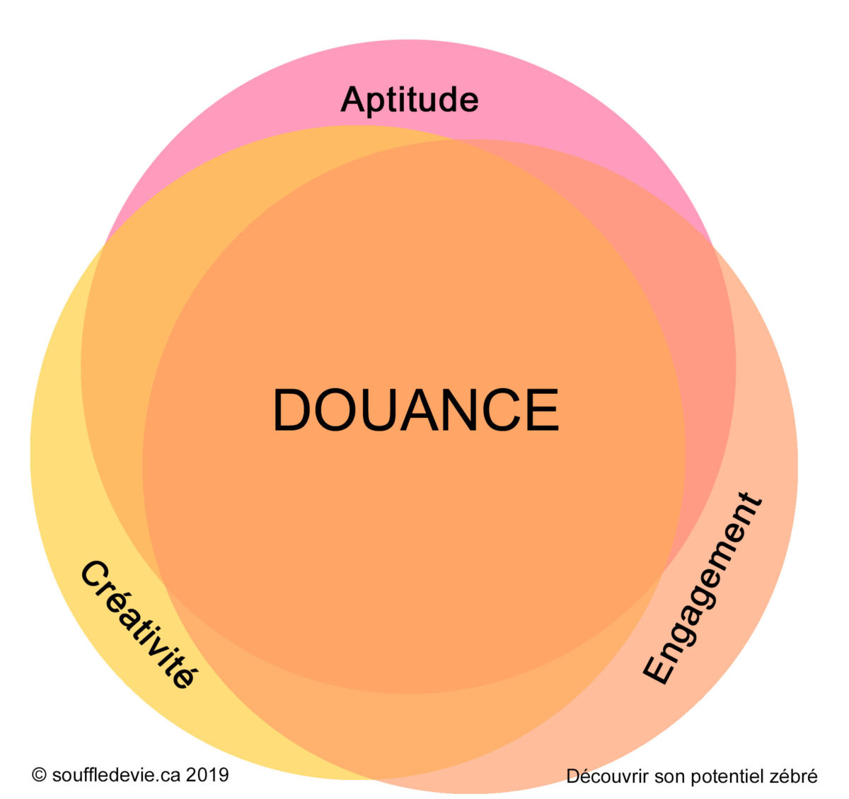 HP, Haut-potentiel, douance, surdoué et autres noms qui semblent trop ...